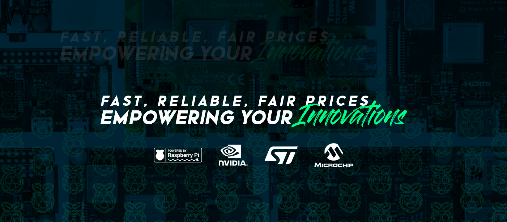 Dev Boards Market - Egypt